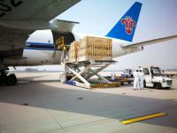 China Cargo Insurance Door To Door Shipping From China Battery Powder shipping for sale