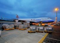 China DDP DDU Door To Door Cargo Service Dubai Qatar Oman from China for sale