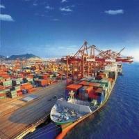 China DDP DDU CLC PLC  China Sea Freight Services To Oman 30-45 Days for sale
