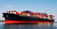 China Professional China Sea Freight Services DDP Lcl Ocean Freight China to Dubai for sale
