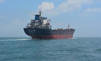China Professional China Sea Freight Services DDP Lcl Ocean Freight China to Dubai for sale