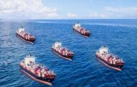 China Professional China Sea Freight Services DDP Lcl Ocean Freight China to Dubai for sale