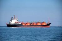 China Door to Door China Sea Freight Services pickup Freight Forwarder China To UAE for sale
