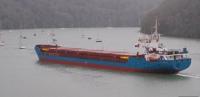 China Fast Ocean Freight International Delivery Service  Fcl Exclusive for sale