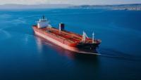 China Fast Ocean Freight International Delivery Service  Fcl Exclusive for sale