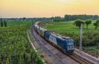 China Professional transport services Railway Freight Shipping FBA DDU DDP for sale