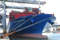 China Agent to Middle East International Freight Forwarding Services PCL LCL for sale