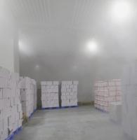 China Cold Storage Dry Storage Warehousing Services HACCP And IFS Certified for sale