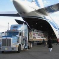 China DDP 7-10 Days International Air Freight Shipping Guangzhou China To USA for sale