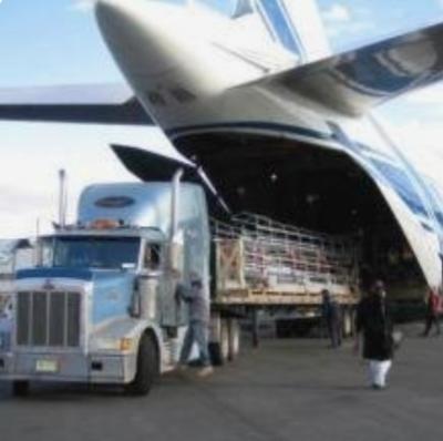 China DDP 7-10 Days International Air Freight Shipping Guangzhou China To USA for sale