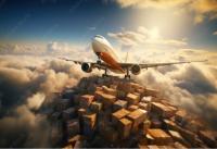China International  Air Shipping Dangerous / Hazardous Goods from China to Iran Qatar Oman Middle East Russia World Wide for sale
