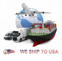 China Professional Custom Clearing Agent/broker Offer DDP DDU Service From Shenzhen Ningbo Shanghai Guangzhou  To USA /Canada for sale