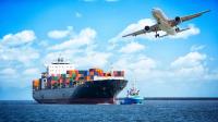 China Sea Shipping Service Sea Freight Forwarder from China to USA UK Europe Canada Australia Express Shipping Logistics for sale