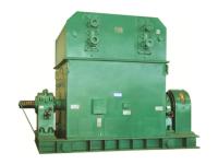 China T Series IP20 3 Phase Induction Motor IM 7311 6kV AC Synchronous Motor for sale