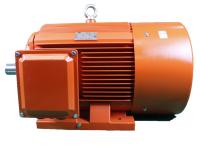 China TYE4 Series IE4 3 Phase LV Permanent Magnet Synchronous Motor 6 Pole 8 Pole for sale