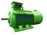 China 6kV IP54-Class F-IM B3 Three Phase Asynchronous Motor For Blowers for sale