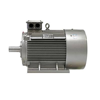 China 380V IP55 Class F IM B3 AC Asynchronous Motor Energy Saving for sale