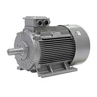 China 380V IP55 Class F IM B3 AC Asynchronous Motor Energy Saving for sale