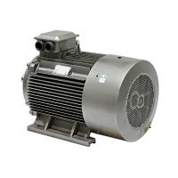China 380V IP55 Class F IM B3 AC Asynchronous Motor Energy Saving for sale