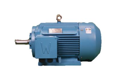 China 380V 400V 415V 660V Asynchronous Three Phase Motor For Power Station for sale