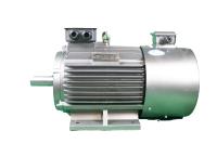China 380V IP55 Class F IM B3 Variable Frequency Motor IEC 60034-30 for sale
