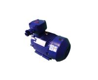 China 2970RPM YBX3 250M-2 Explosion Proof Electric Motor 55kW 94.3% Efficiency for sale