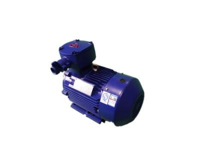 China 2970RPM YBX3 250M-2 Explosion Proof Electric Motor 55kW 94.3% Efficiency for sale