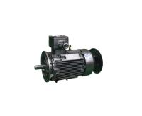 China 45kW IP55 3 Phase Asynchronous Motor YBX3 225M-2 Squirrel Cage for sale