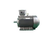 China 22kW 93.0% High Efficiency Explosion Proof Electric Motor YBX3 180L-4 for sale