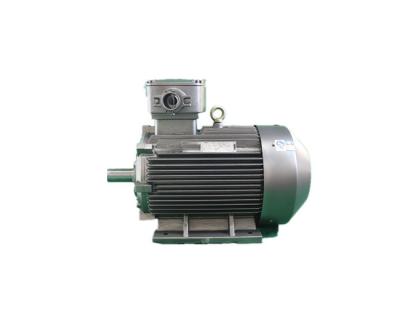 China 22kW 93.0% High Efficiency Explosion Proof Electric Motor YBX3 180L-4 for sale