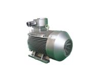 China IMB3 55kW Explosion Proof Electric Motor YBX3 250M-4 Industrial 3 Phase Motors for sale