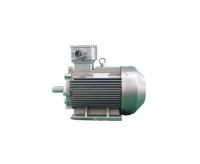 China YBX3 160M-4 Class F High Efficiency 3 Phase Induction Motor 21.5A 11kW for sale