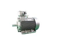 China YBX3 160M1-2 Squirrel Cage Asynchronous Explosion Proof Motors 2940RPM 11kW for sale