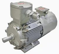 China Exd II BT4 Gb Explosion Proof Electric Motor YBBP 132S1-2 5.5kW 11A for sale