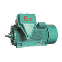 China YBX2 3551-2 IMB3 HV Explosion Proof Motors H355 H560 Frame for sale