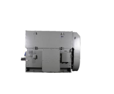 China YKK 4503-2 HV Industrial Three Phase AC Motor 710kW 83.5A for sale