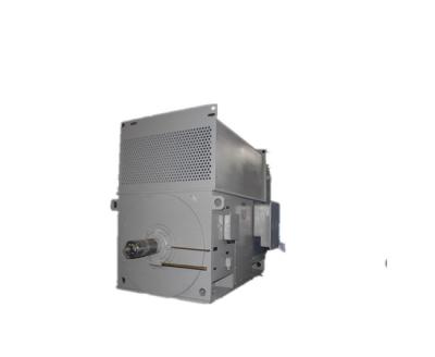 China YKK 5002-2 IP54 Three Phase High Voltage AC Motor 1000kW 6kV for sale