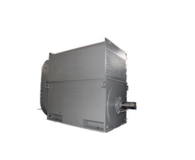 China H355 H1120 Frame High Voltage AC Motor YKK 5004-2 1250kW for sale