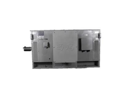 China 500kW 6kV Asynchronous Electric Motor Y4002-2 HV Induction Motor for sale