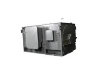 China Y4002-2 500kW High Voltage AC Motor 2975RPM Asynchronous Electric Motor for sale