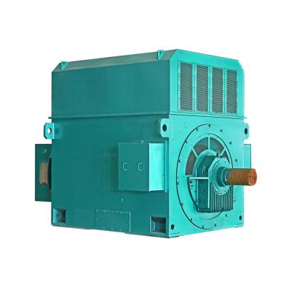 China Grade 2 High Efficiency 3 Phase Induction Motor YRKK8001-4 4000kW for sale
