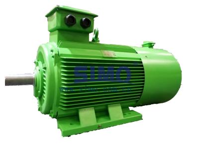 China IP54 HV Three Phase Asynchronous Motor Y2 3551-2 185kW 6kV for sale