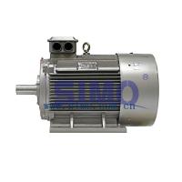 China YE3-80M1-4-0.55kW High Efficiency 3 Phase Induction Motor IC411 Cooling Purple Horns for sale
