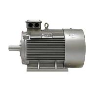 China Class F 77.4% High Efficiency Three Phase Asynchronous Motor YE3 90S-4-1.1kW for sale