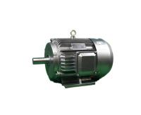 China 1.1kW Three Phase Asynchronous Motor YE3 80M2-4 IMB3 Mounting for sale