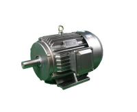 China YE3 90L-4-IP55 Low Voltage Three Phase Asynchronous Motor 1.5kW 380V for sale