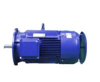 China IP55 Low Voltage 3 Phase Motor YE3 280S-4 75kW Asynchronous Electric Motor for sale