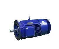 China 55kW High Efficiency AC Asynchronous Motor YE3 250M-4 IMB3 Mounting for sale