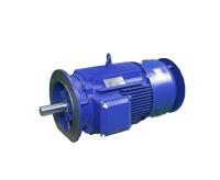 China YE3 225M-4 380V LV Three Phase Asynchronous Motor H80-H355 Frame for sale