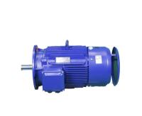China 93.9% High Efficiency 3 Phase Induction Motor YE3 225S-4-37KW for sale